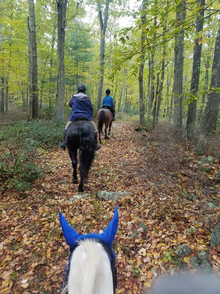 Safety Etiquette for Horseback Riders | Connecticut Trails