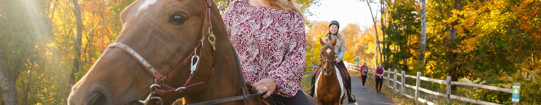 Home | Connecticut Trails